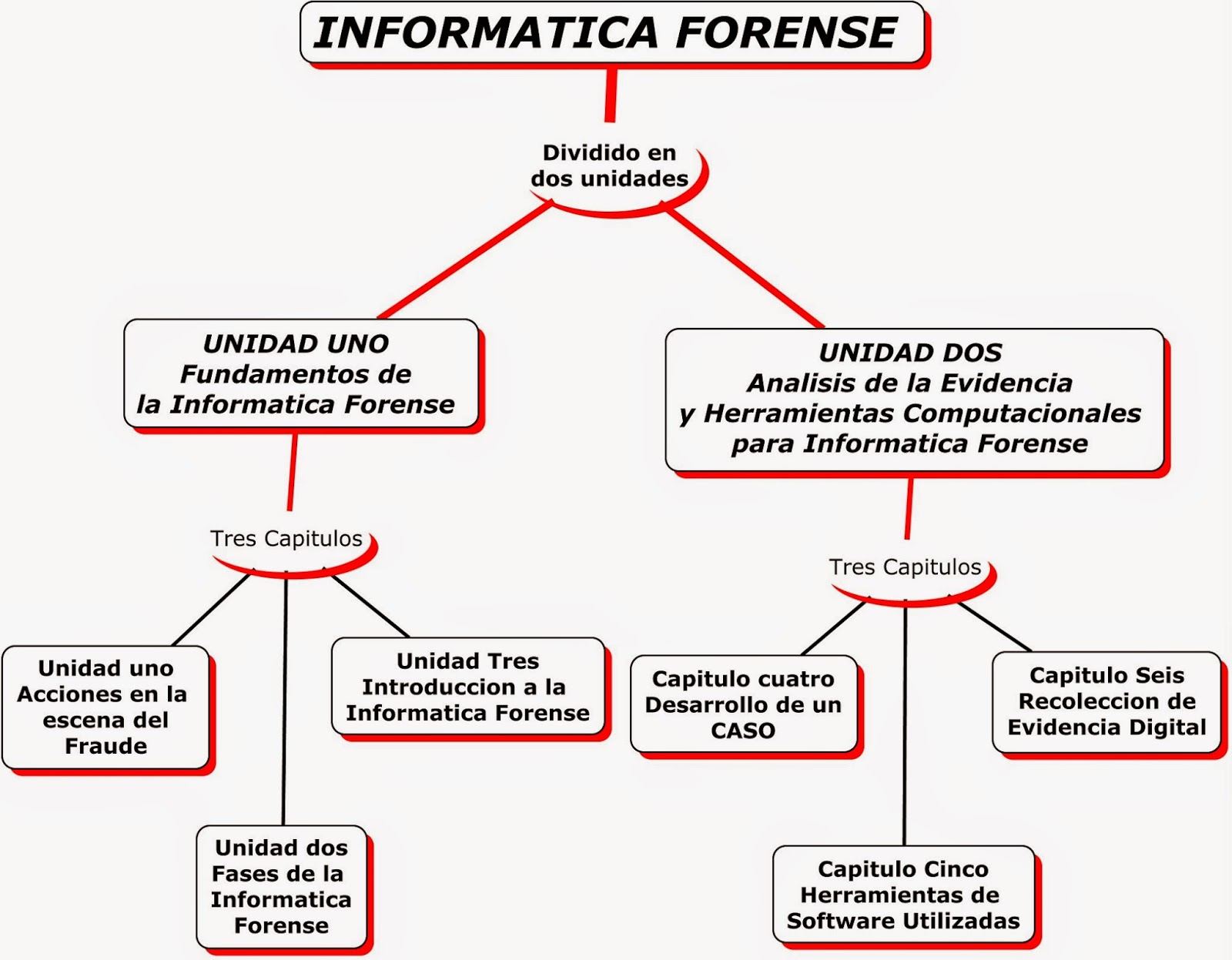 Mapa conceptual de informática ¡Guía paso a paso!