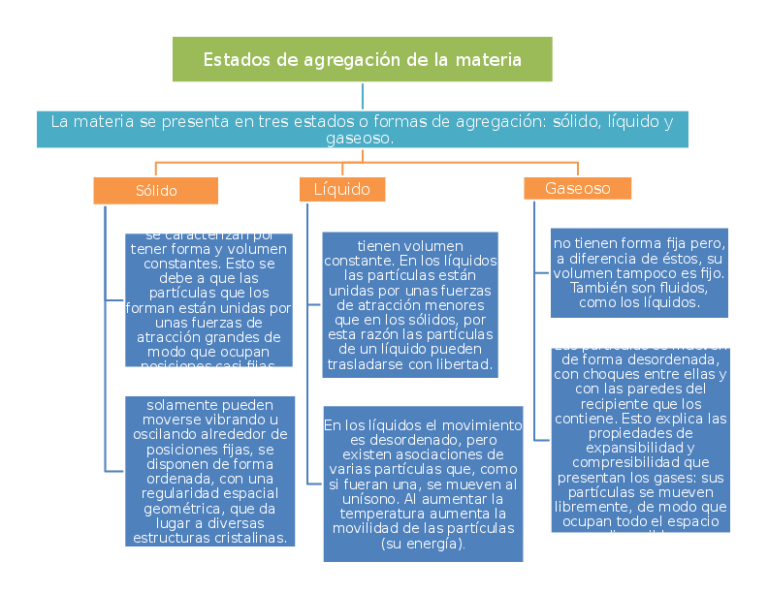 Mapa conceptual de la materia ¡Guía paso a paso!